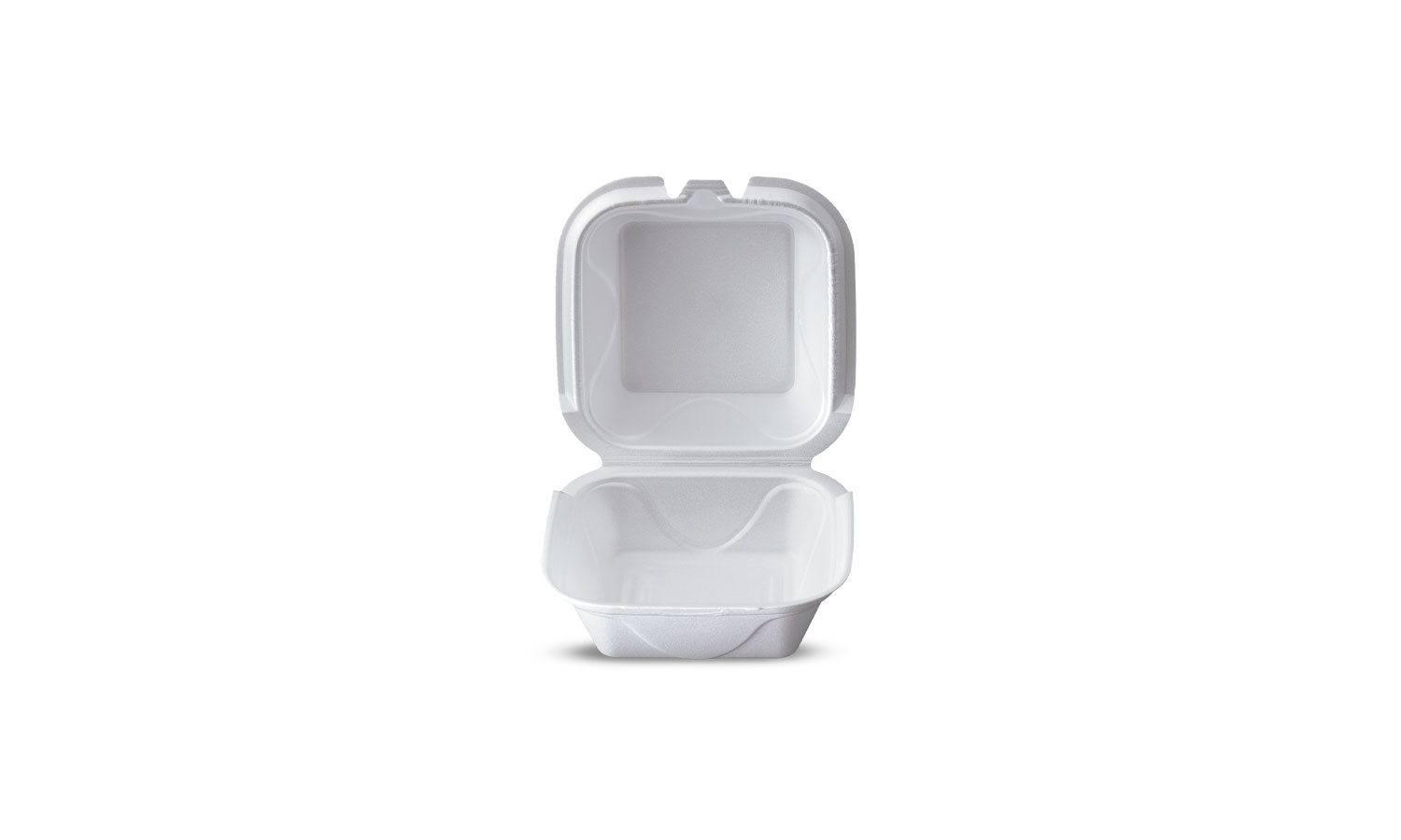Foam Hinged Lid Take Out Container - Darnel