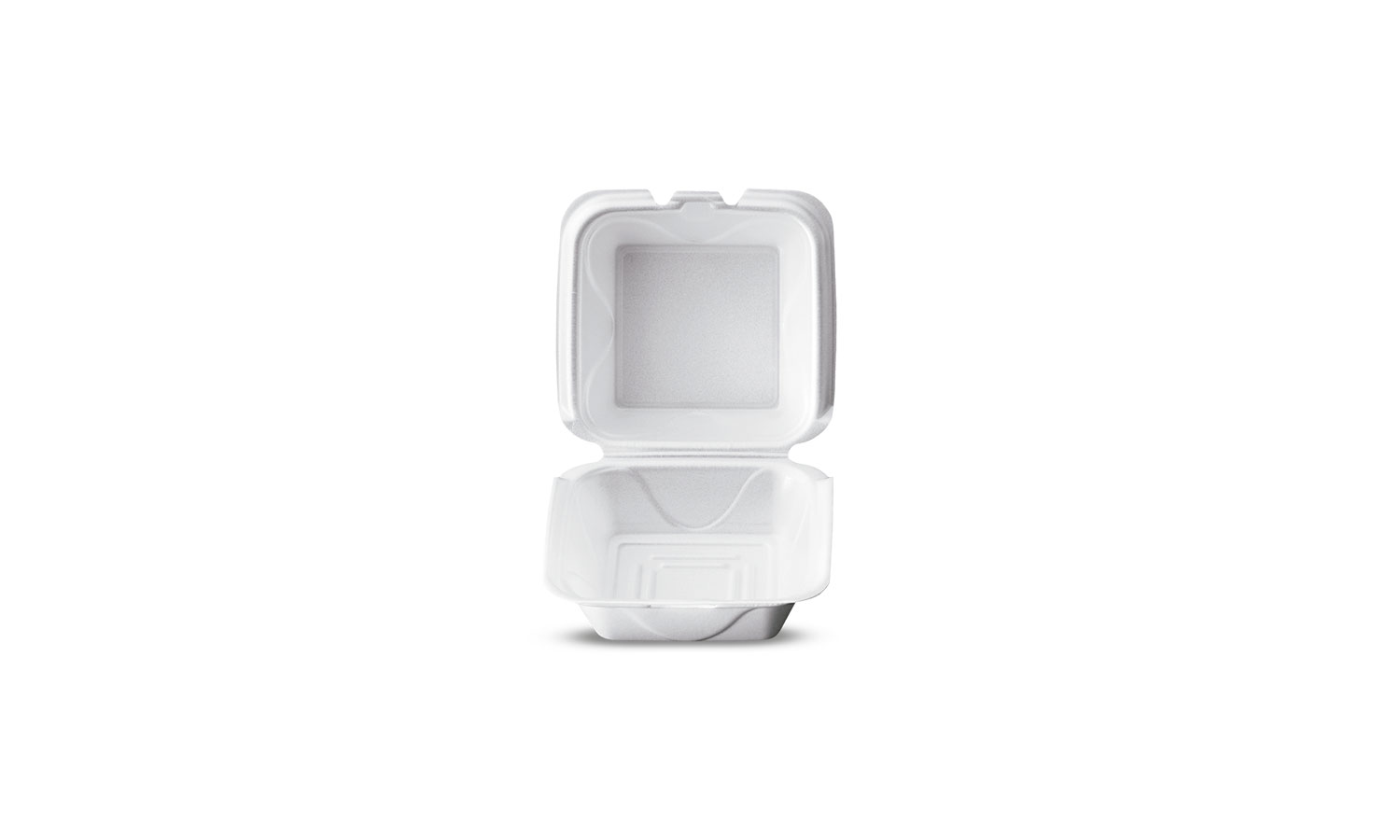 Foam Hinged Lid Take Out Container - Darnel