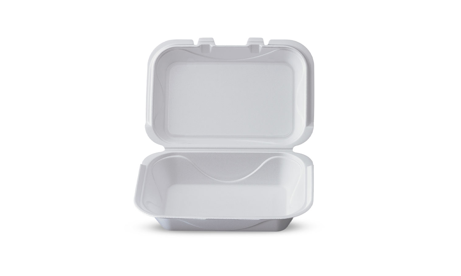Foam Hinged Lid Take Out Container - Darnel