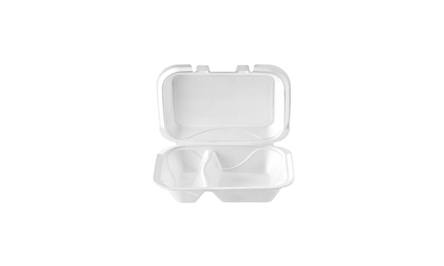 Foam Hinged Lid Take Out Container - Darnel