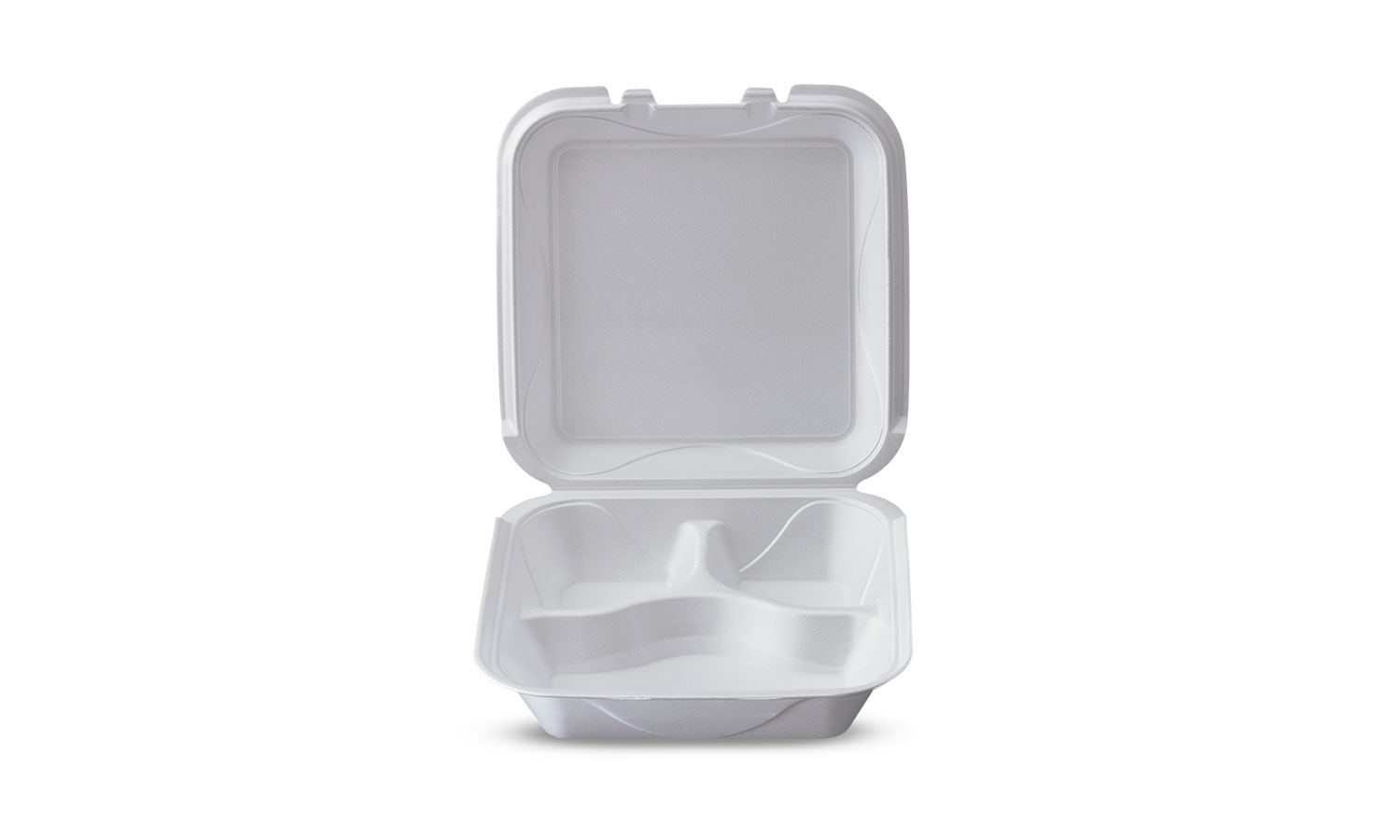 Foam Hinged Lid Take Out Container - Darnel