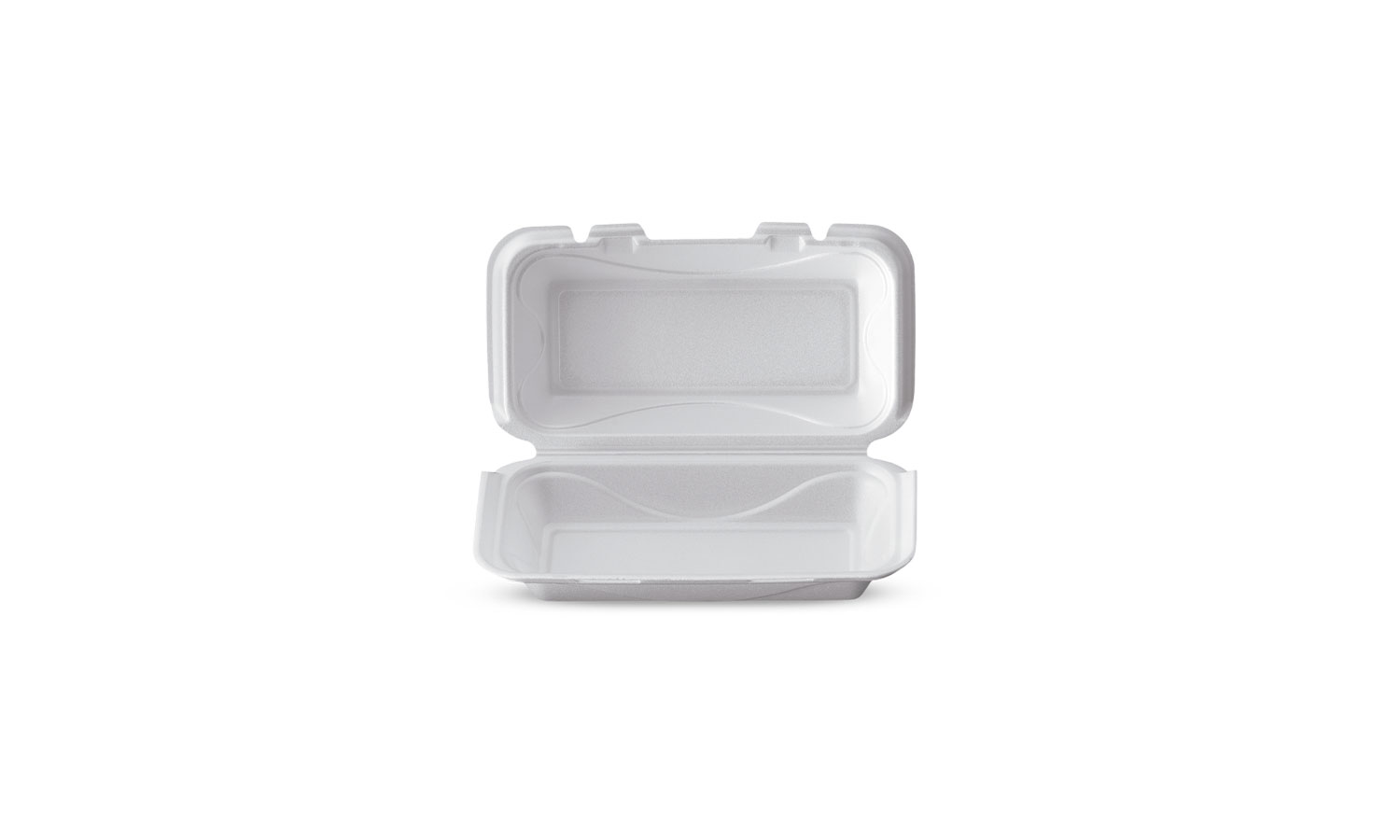 Foam Hinged Lid Take Out Container - Darnel