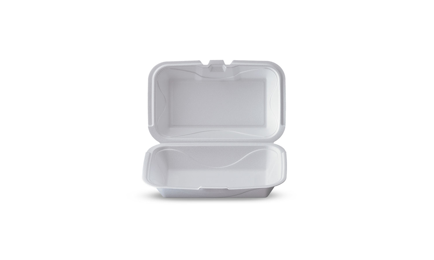Foam Hinged Lid Take Out Container - Darnel
